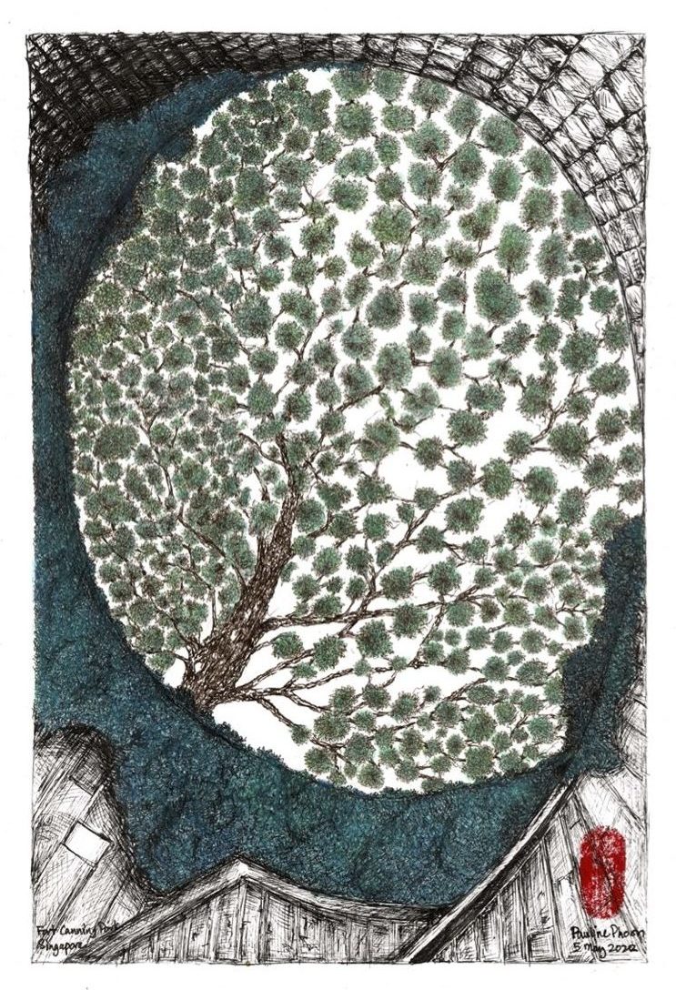 FORT CANNING TUNNEL TREE - pHoOnIeS Space