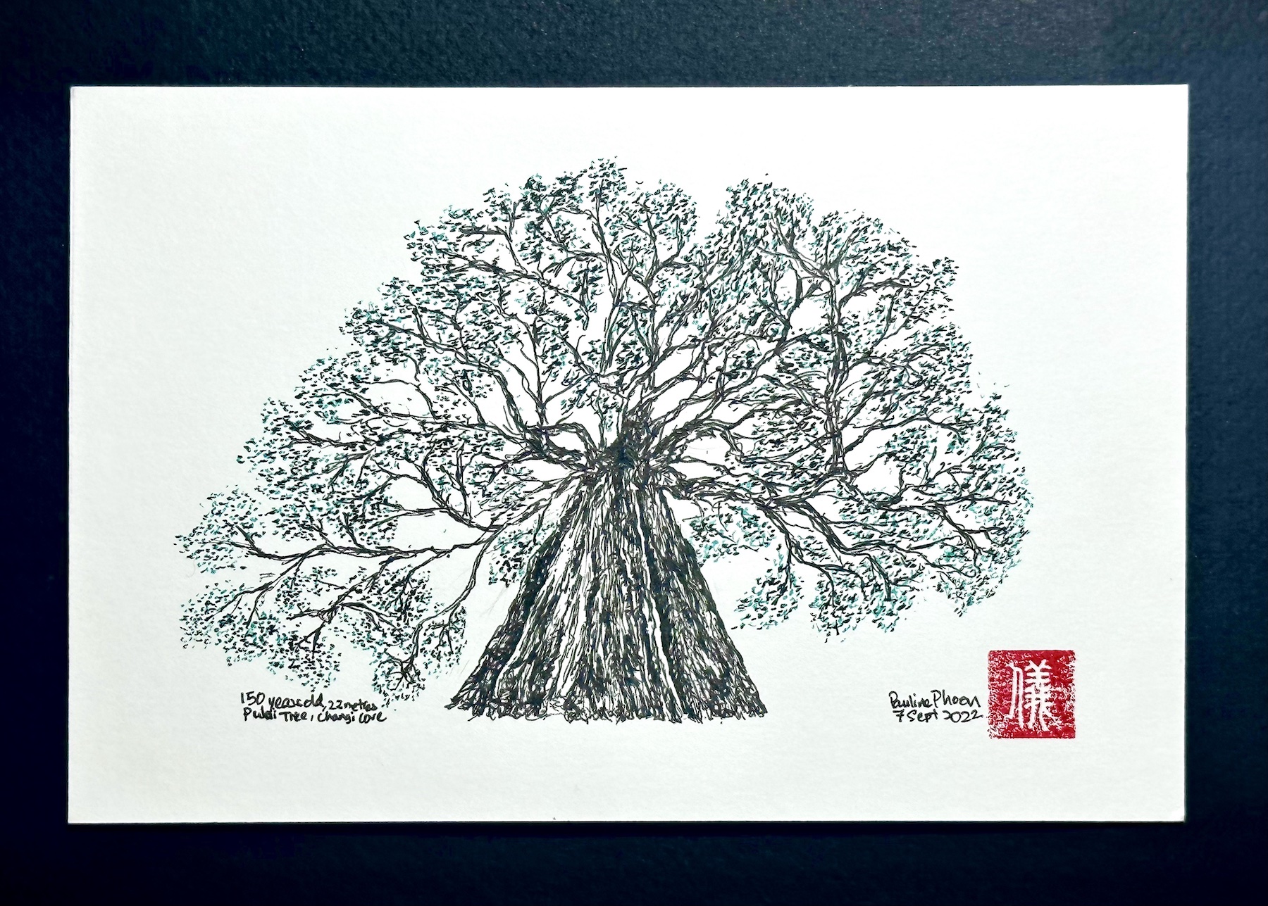 PULAI TREE - pHoOnIeS Space