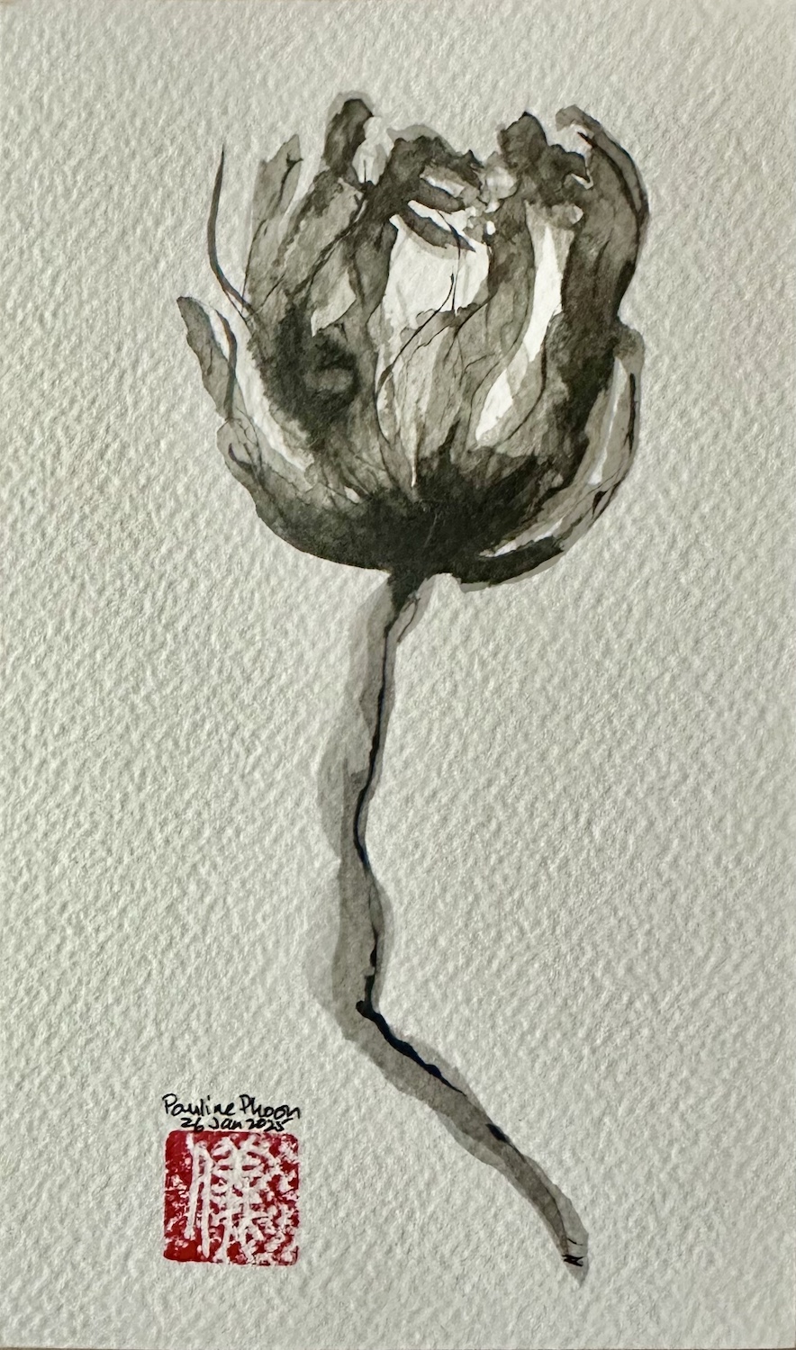 Dried Rose - pHoOnIeS Space